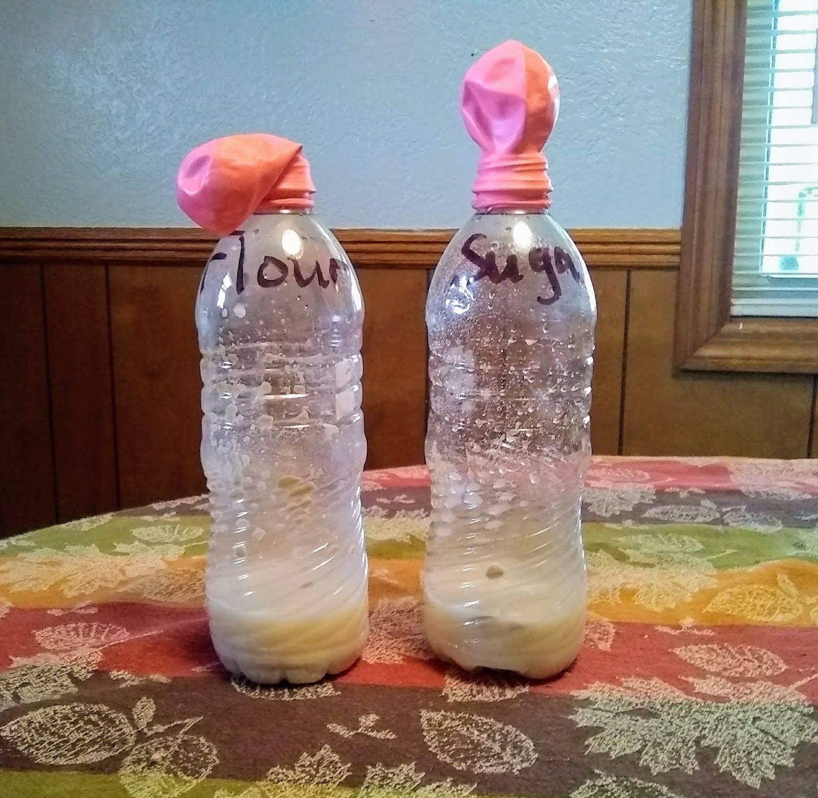 Simple Inspirations: Fun Yeast Experiment!
