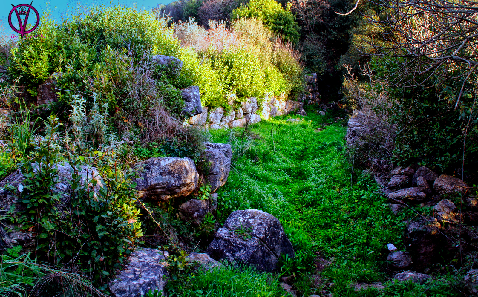 V...for Vasiliki (By DeepGreece): Αρχαία Φιγαλεία,η πόλη των μύθων και ...
