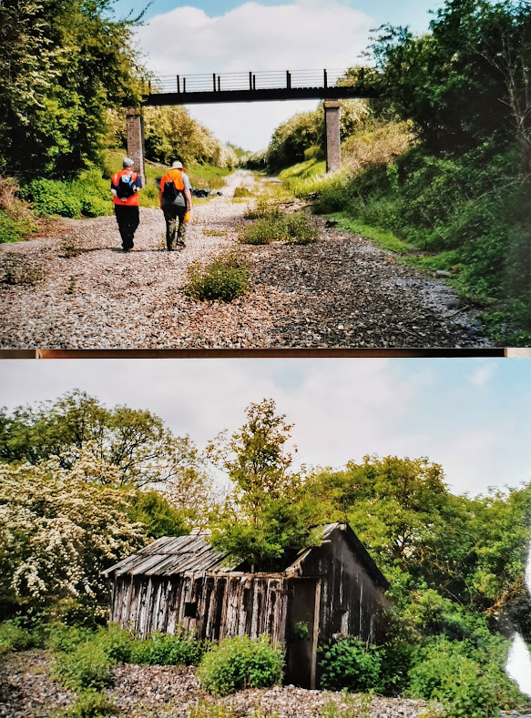 Another Delve into the Archive