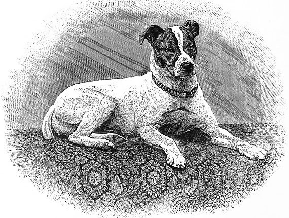 Famous Dogs in History: Hector: Did Psychic Powers Lead Him to His Master?