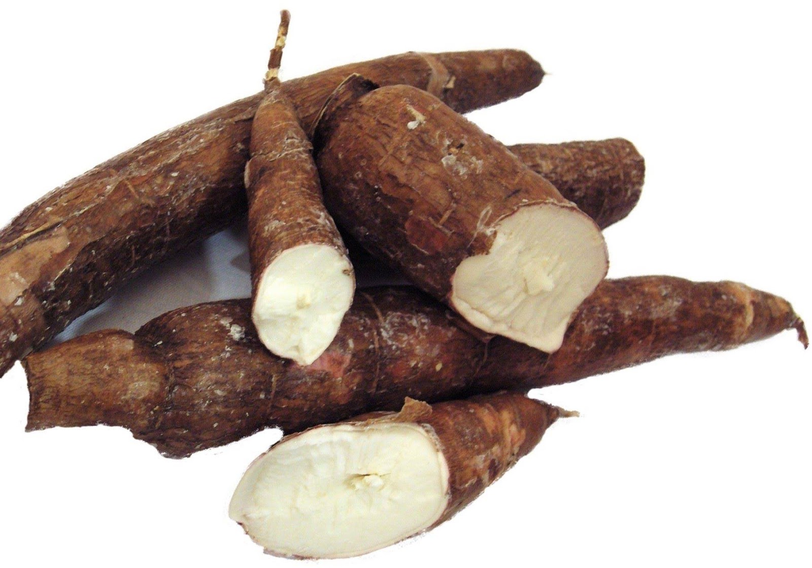 The legend of the Yuca (cassava) | Gringo Peru