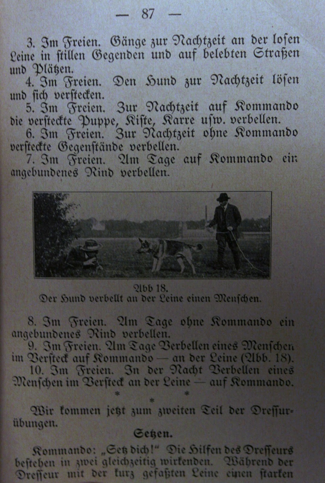 Teräsvillan pumit: 2016