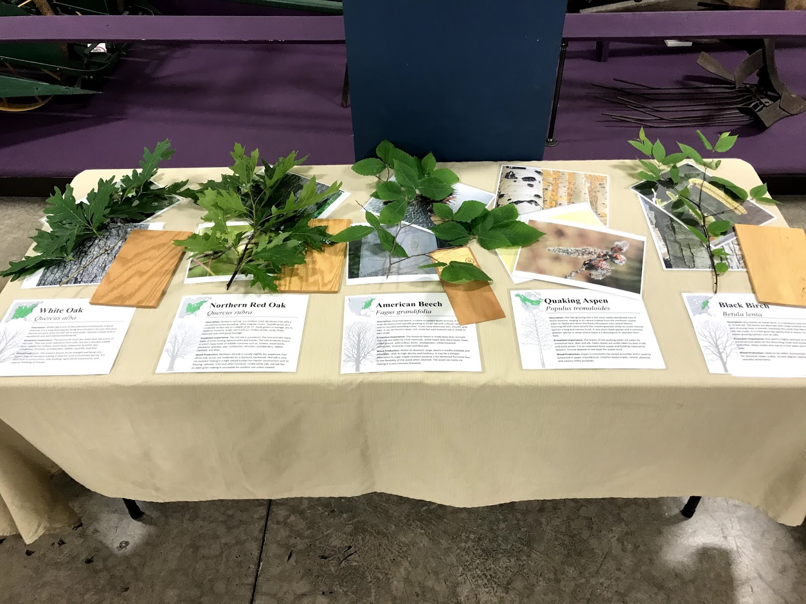 Pennsylvania Timber Show