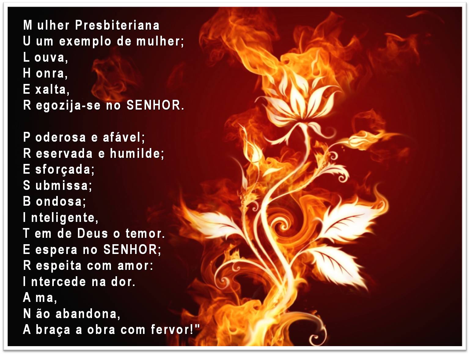 Igreja Presbiteriana de João Dourado - Bahia: Dia da Mulher Presbiteriana - IPB – João Dourado ...