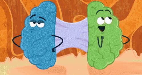 ¿El lenguaje es innato o adquirido?