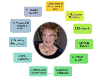 Modelo Teórico de Marjory Gordon