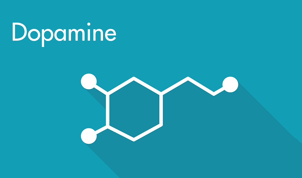 Dopamine – The addiction Chemical