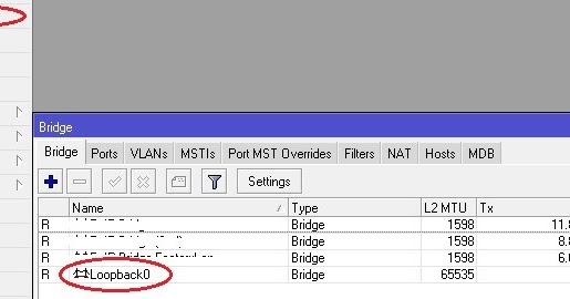 Knowledge Area: Mikrotik Loopback Adapter