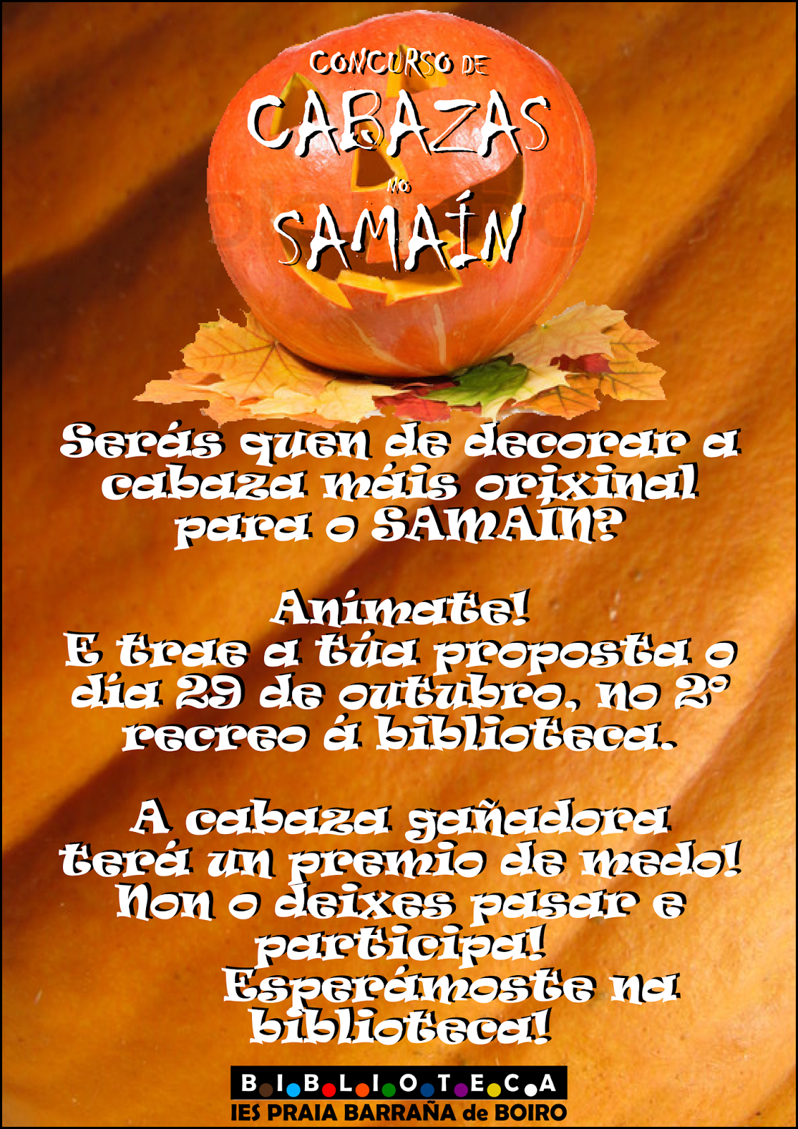 Deseño 2013/2014: Exemplos de carteis