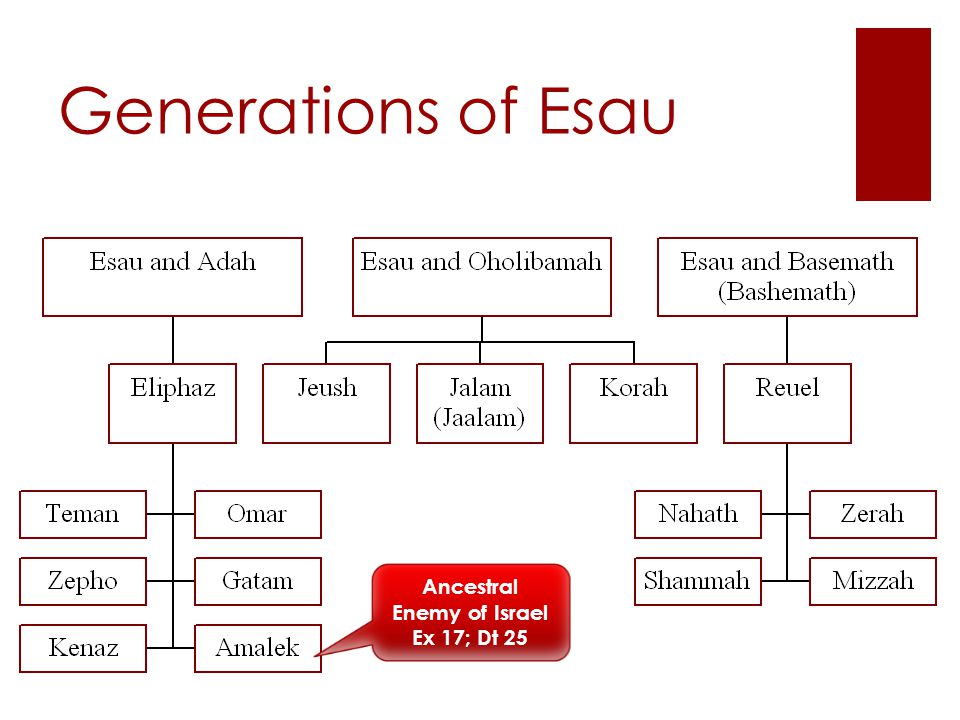 Daily Bible Challenge: Genesis 36 - The Family of Esau