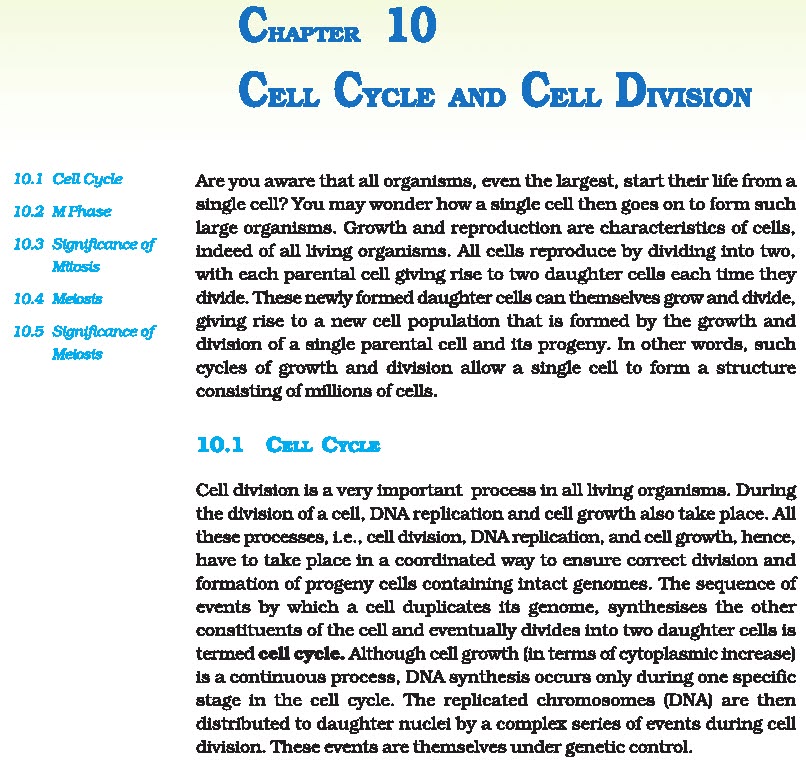 Chapter 10 Cell Cycle and Cell Division - Plus One