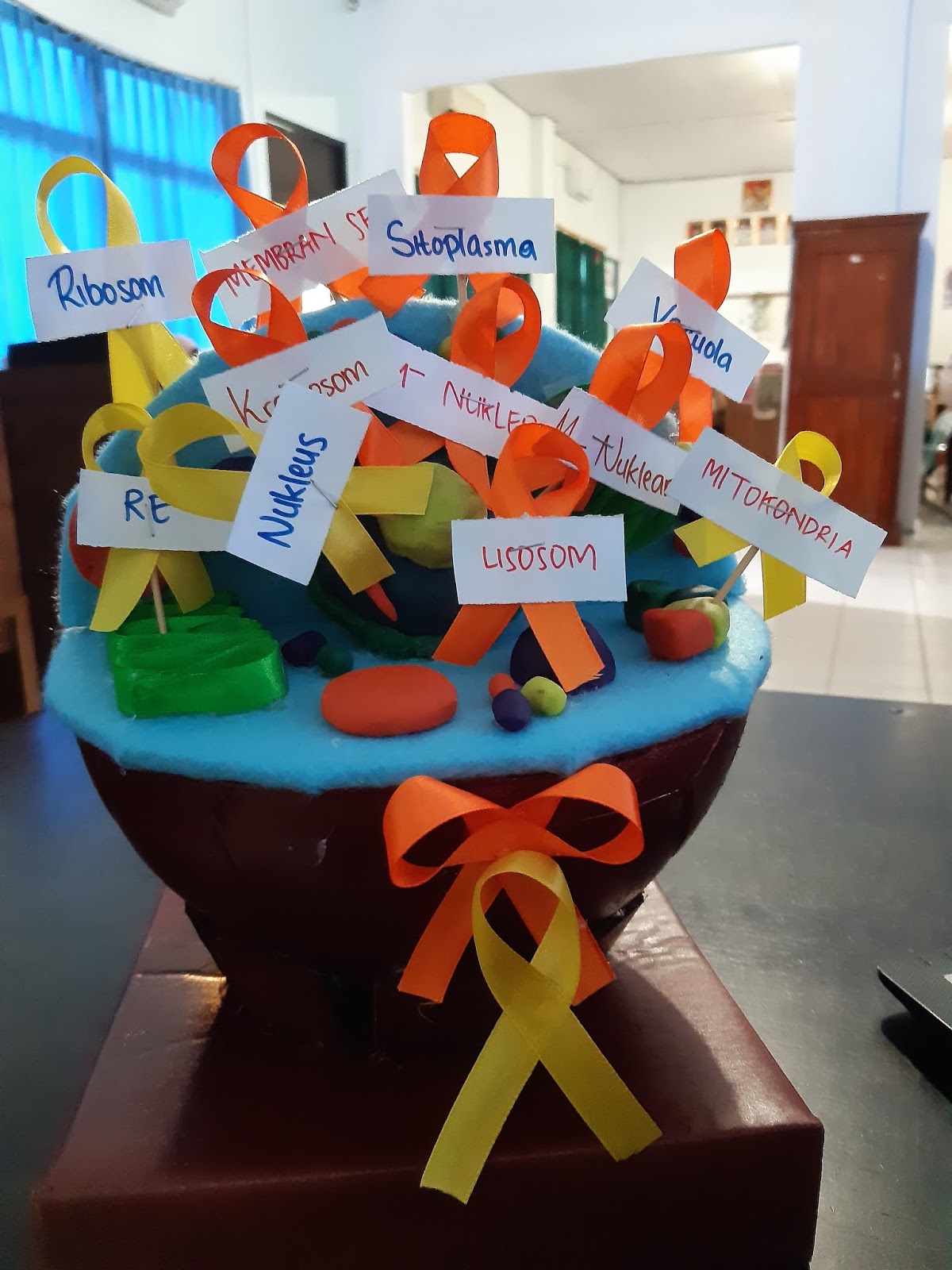 ALAT PERAGA SEL HEWAN DAN TUMBUHAN ( XI IPA 3, 4 DAN 5)