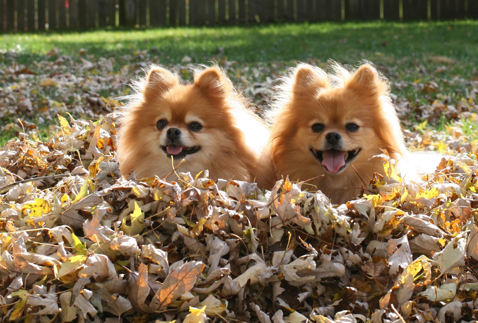 A Work in Progress: Kreativ Blogger Award