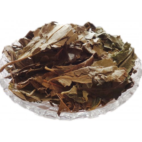 IndianJadiBooti.com: BENEFITS OF HARSINGAR LEAVES