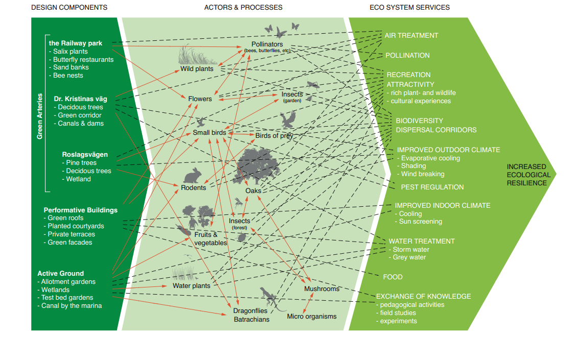 biomimicry KTH: The complex ecological web