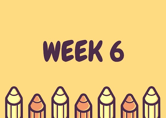 FIRST WEEK