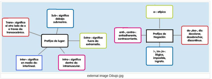 Desarrollo de la lengua