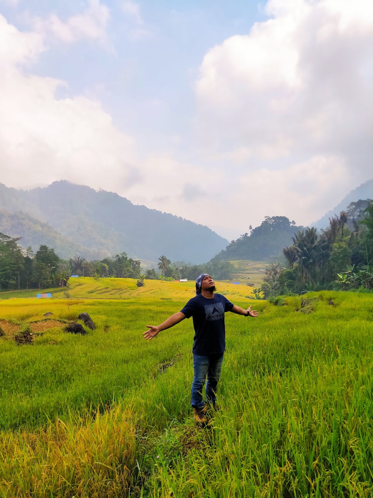 Keindahan alam Indonesia: Pesona Persawahan Petungkriyono
