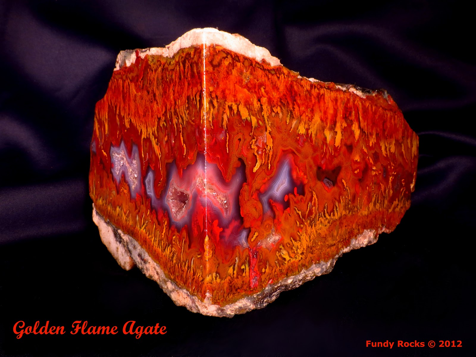 Fundy Rocks Journal: The King of Fundy Agates: Golden Flame Agate.