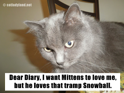 Catladyland: Cats are Funny: Cat Lashes Out in Diary