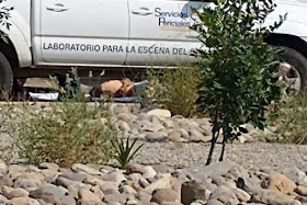 Borderland Beat: A day's grisly tally: 7 executed in Tijuana, 3 beheaded