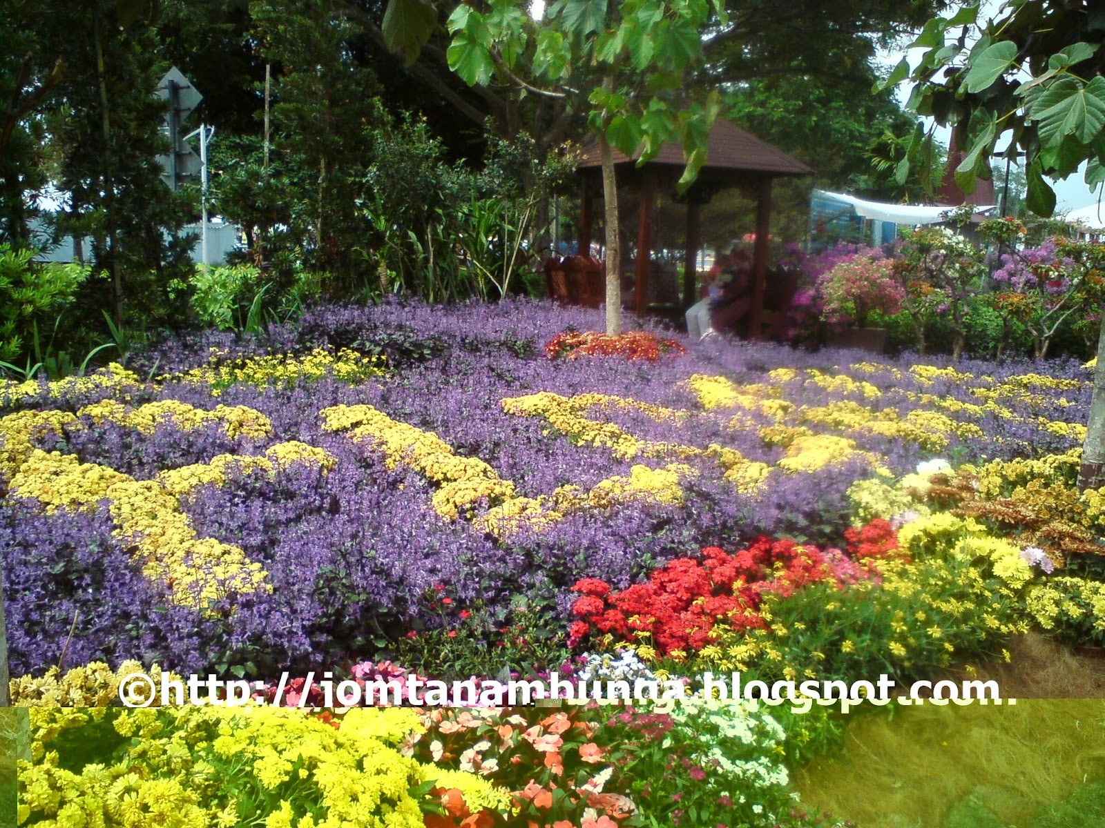 JENIS-JENIS BUNGA: Juli 2012