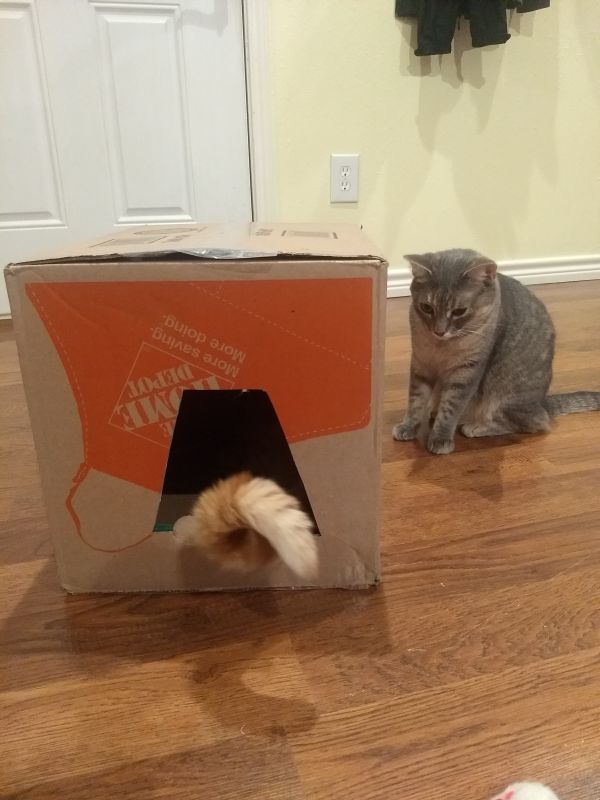 Kat & Cat Quilts: String Things