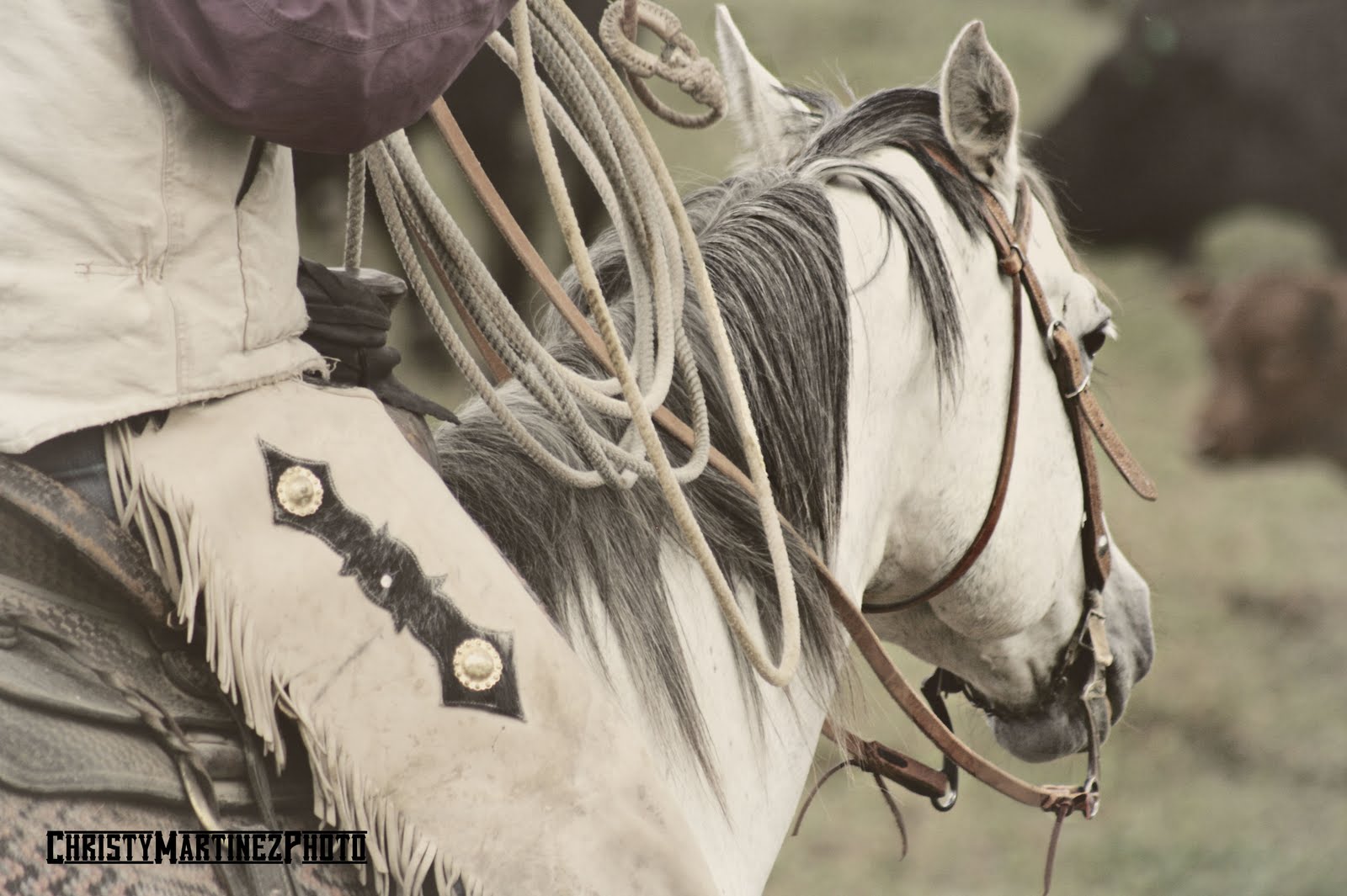Pony Riding By: Weekend in Photos: Honest Horses