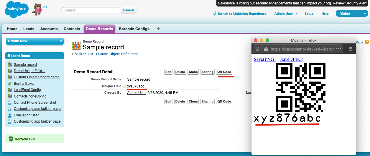 Salesforce Codes: Display barcode in Salesforce record detail view as a ...