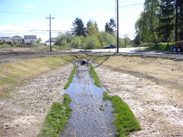 OLM Industries, Inc: Wetland Buffer and Mitigation Projects