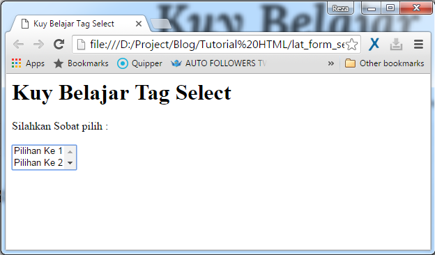 Fungsi Combo box (Tag Select) Beserta Cara Penggunaannya