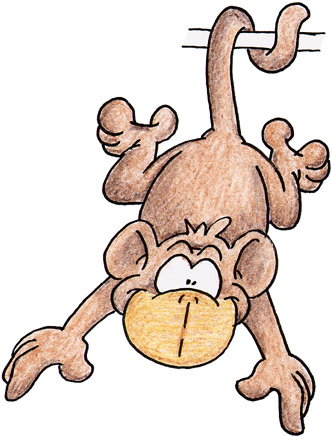 RECURSOS y ACTIVIDADES para Educación Infantil: Imagenes a color: MONOS