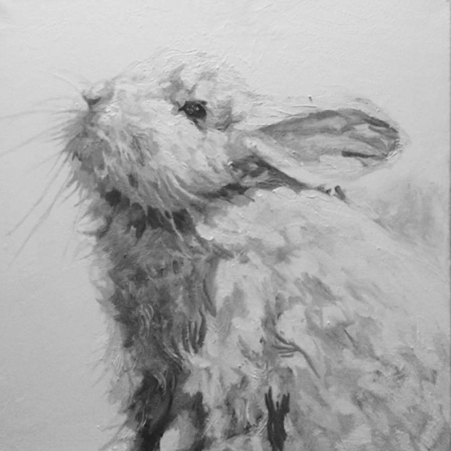 Contemporary Wildlife Art, Rabbit, Bunny, Fine Art Oil Painting ...