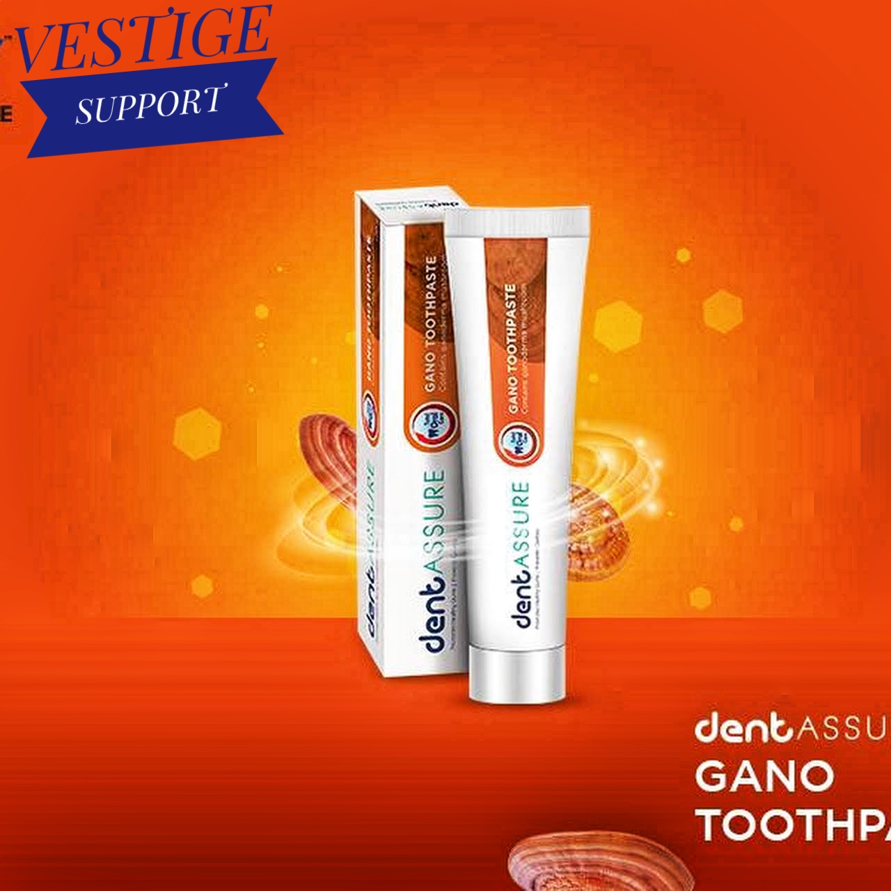 Vestige Dentassure Gano Toothpaste | Vestige Products | Vestige Support ...