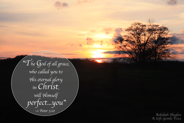 A Soft Gentle Voice: Who Am I? {Perfect} In Christ {Day 24} #31Days