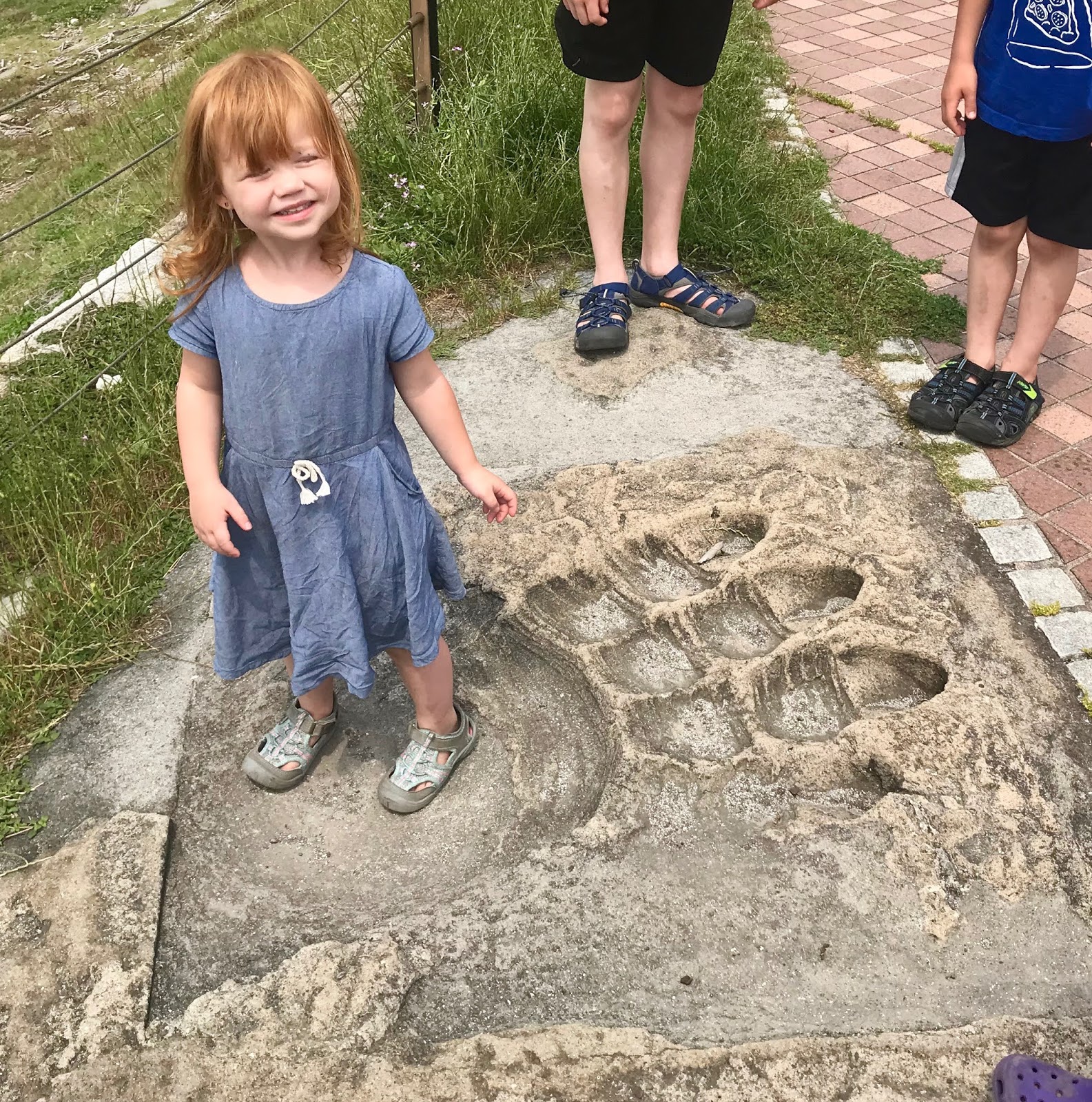 watch out for the woestmans: Godzilla's Footprint