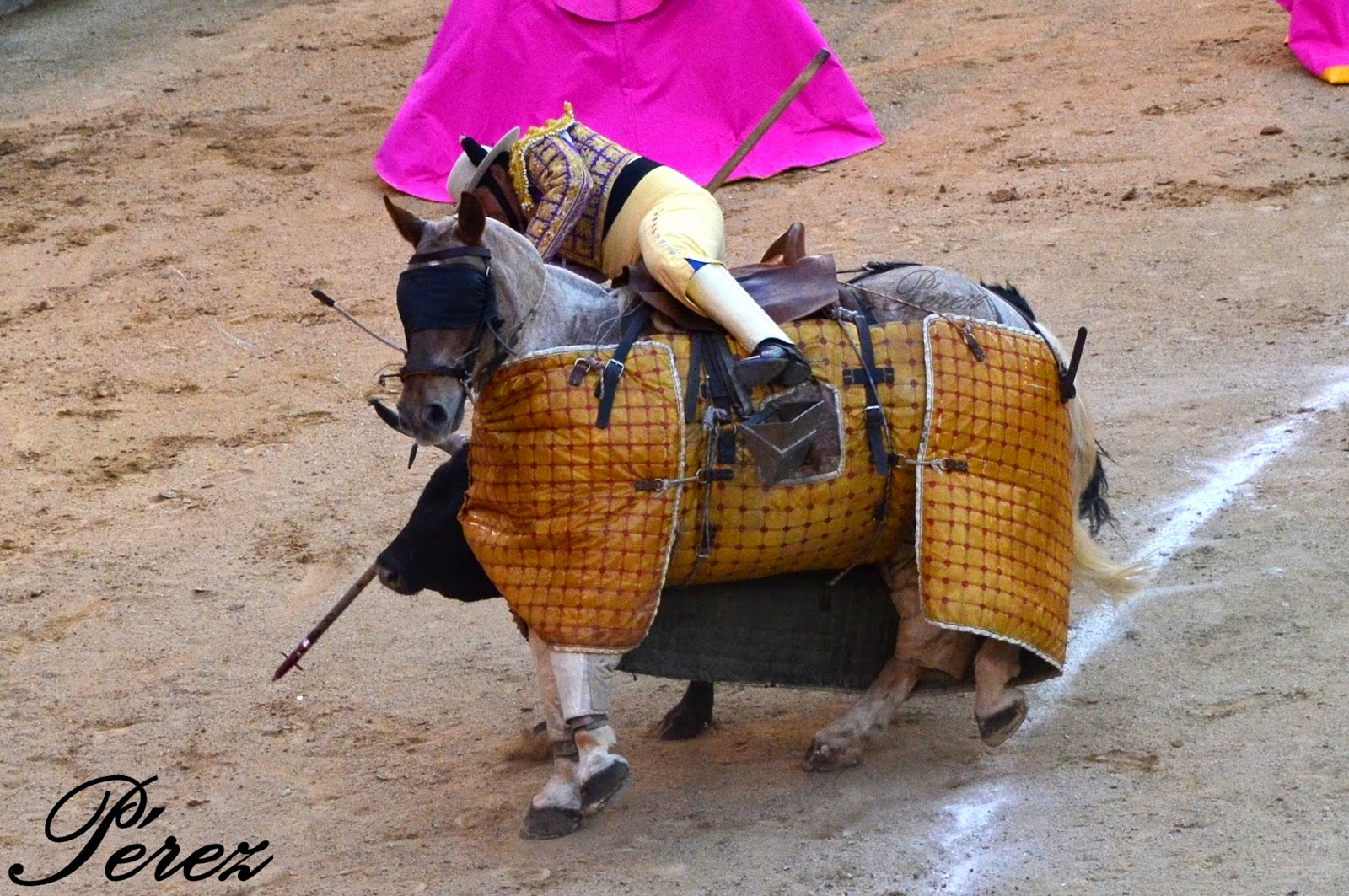 Toros en Andorra Fotos: Toro de Palha en Madrid. Encerrona de Fandiño. 29M.