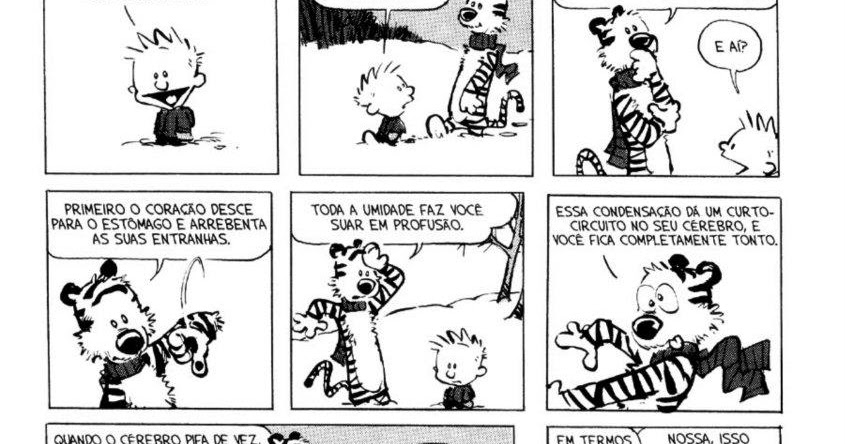 Calvin, Haroldo, Susie e o amor - Casos Acasos e Livros