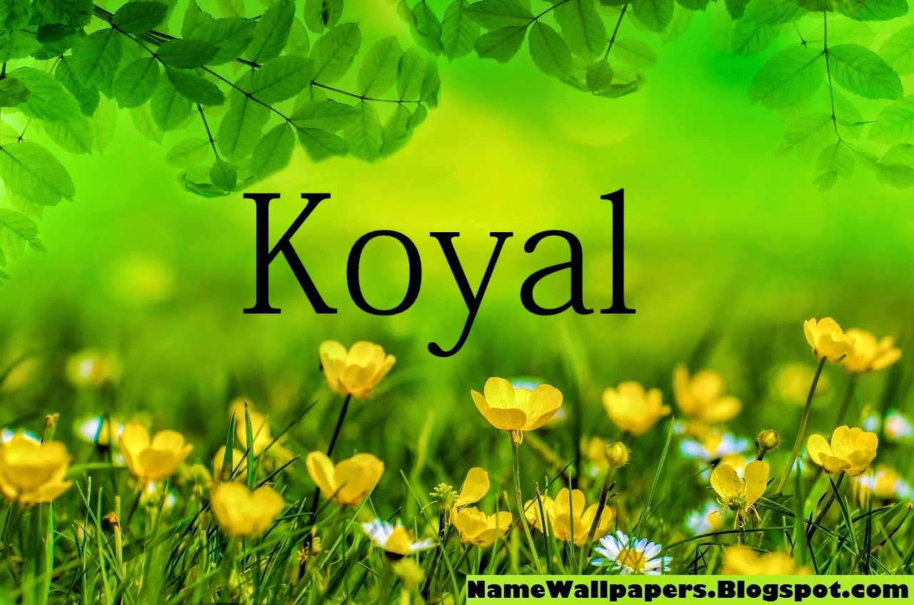 Koyal Name Wallpapers Koyal ~ Name Wallpaper Urdu Name Meaning Name ...