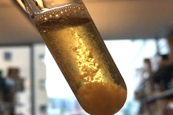 Floculación - Cervezodromo