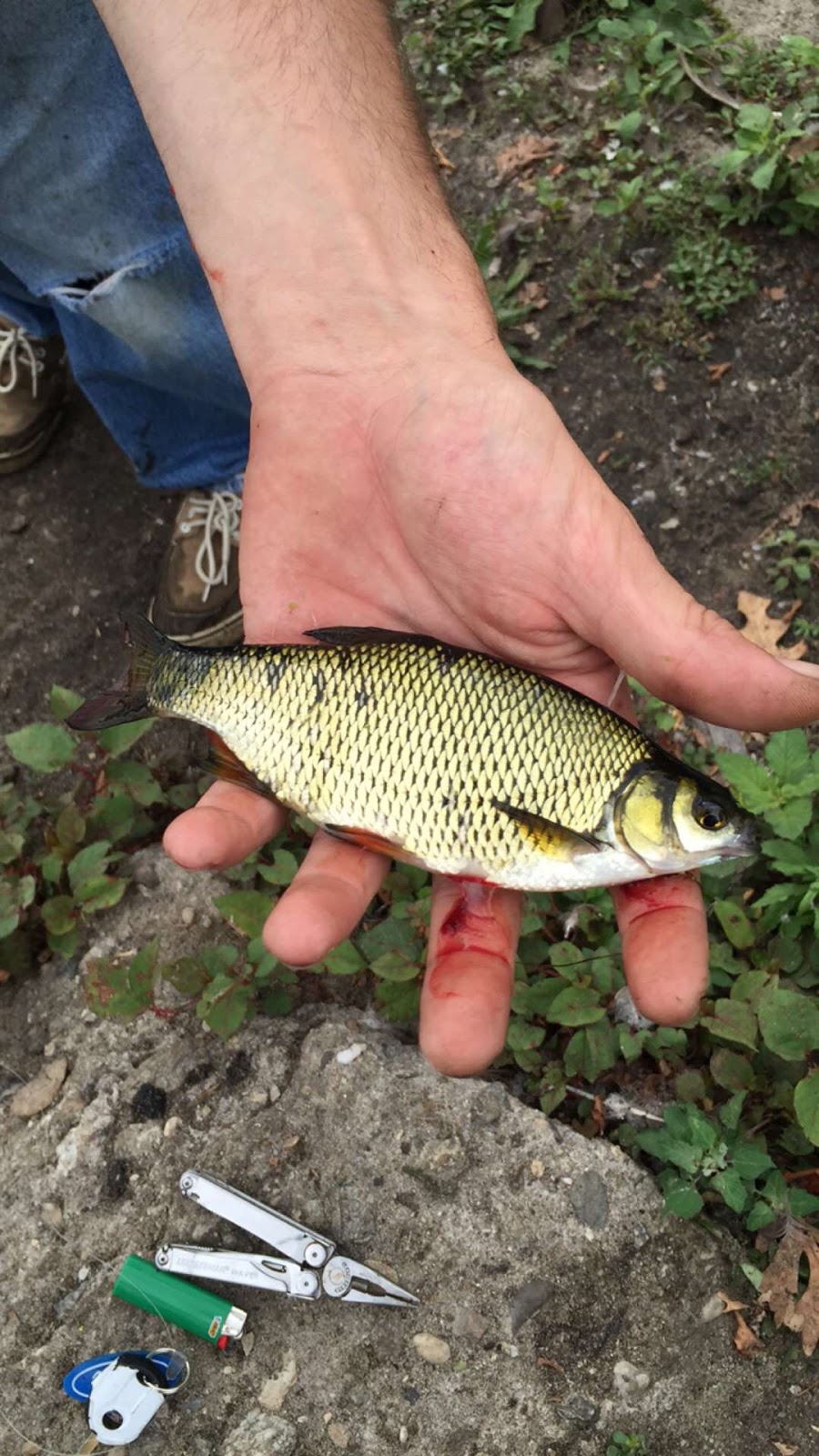 Chasing Tails Bait & Tackle