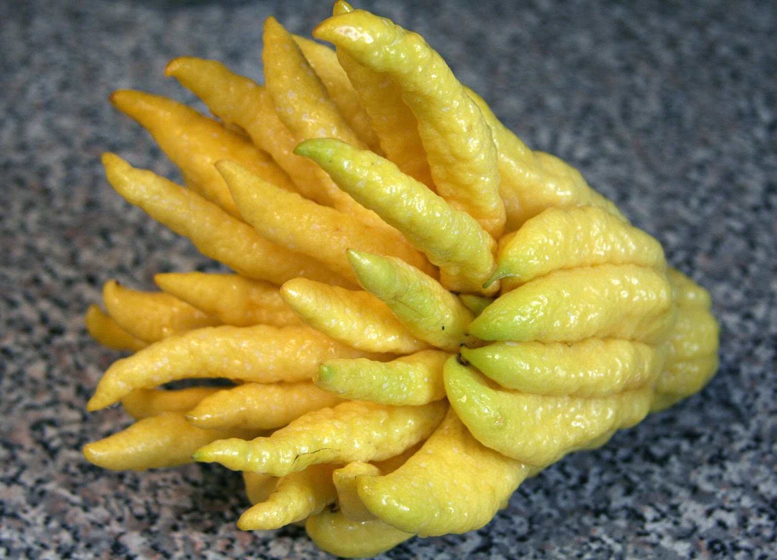 Culturally Confused: Allrecipes: Candied Buddha's Hand Citron