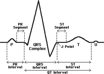 Normal ECG. ppt | Free Medical Slids