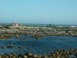 South African Road Trips: Koingnaas and Namaqua National Park