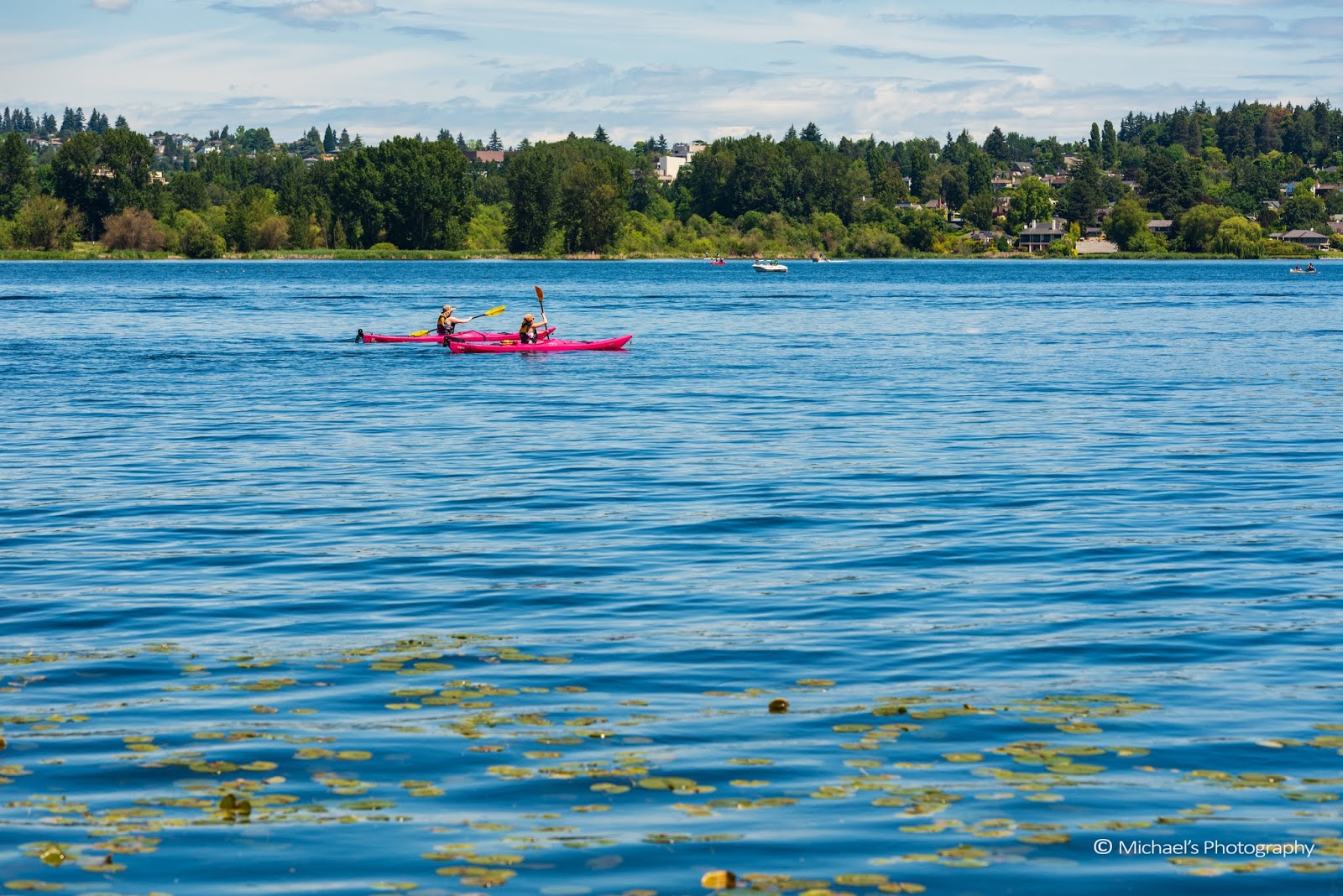 Beauty of Northwest Wilderness: Marsh Island, Seattle