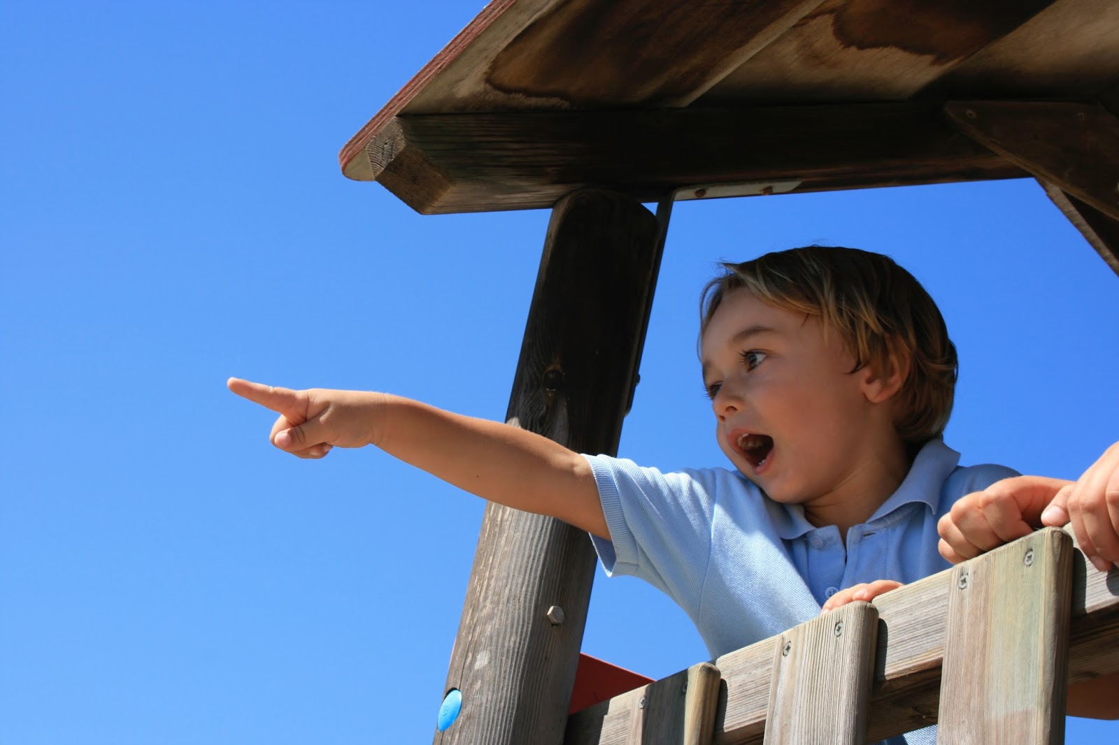 En busca del Ser: La capacidad de asombro.