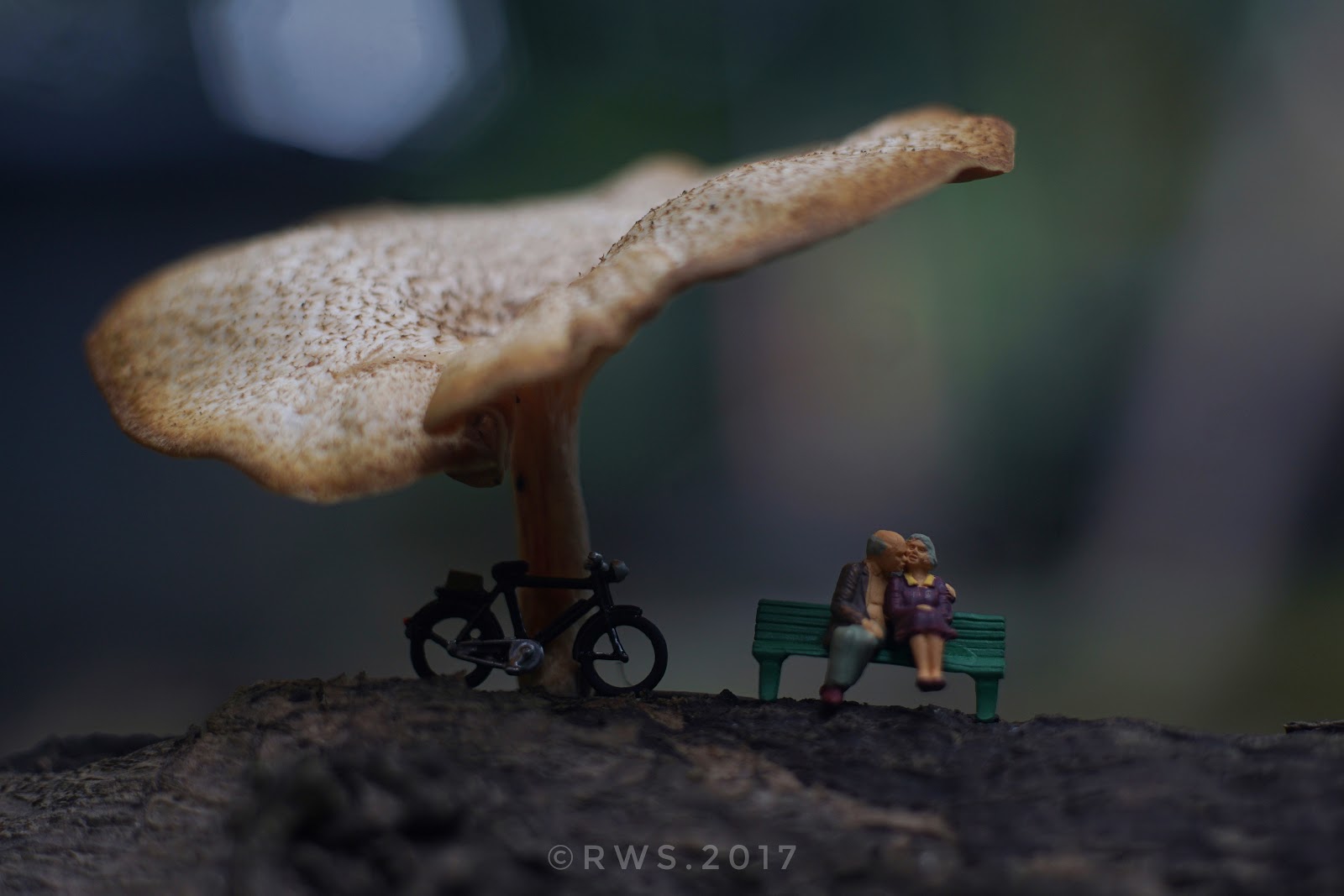 Fotografi Makro Dengan Menggunakan Miniatur - Miniatur Fotografi