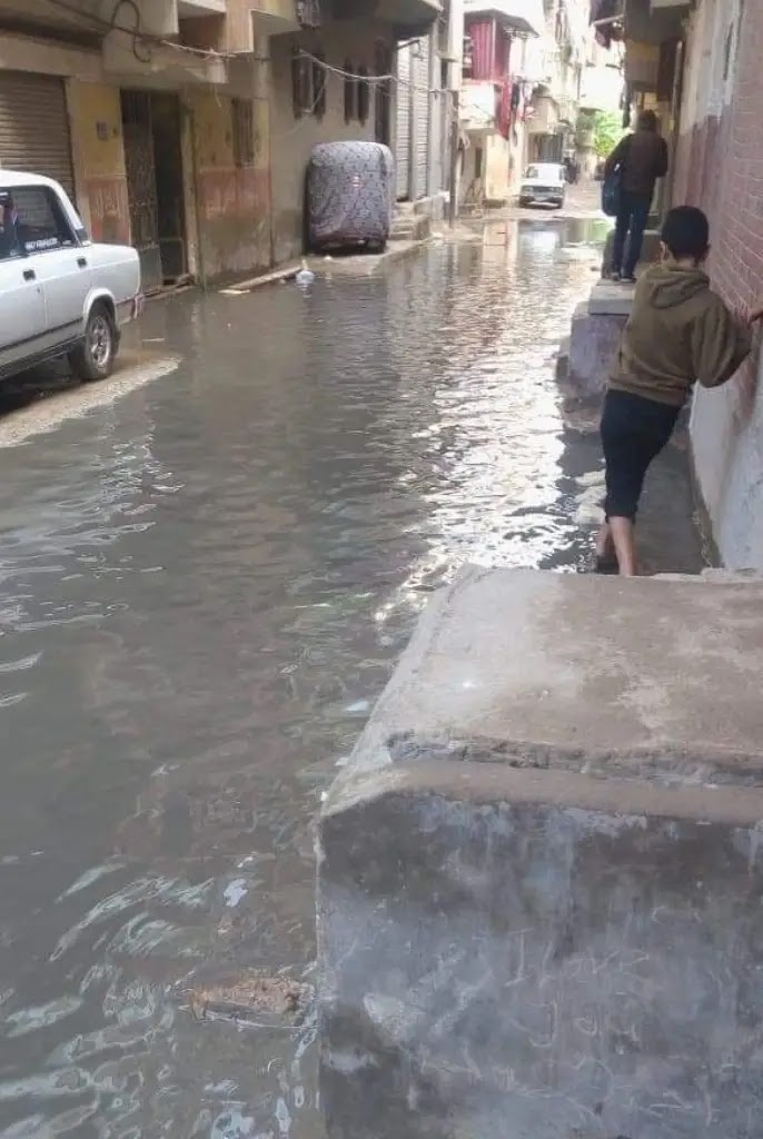 In the video: the reasons for the flooding of the city of Alexandria by ...