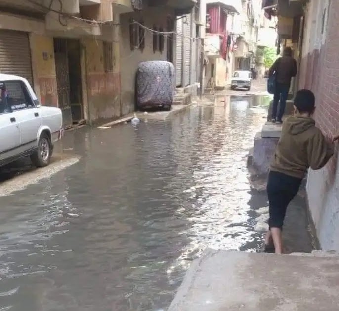 In the video: the reasons for the flooding of the city of Alexandria by ...