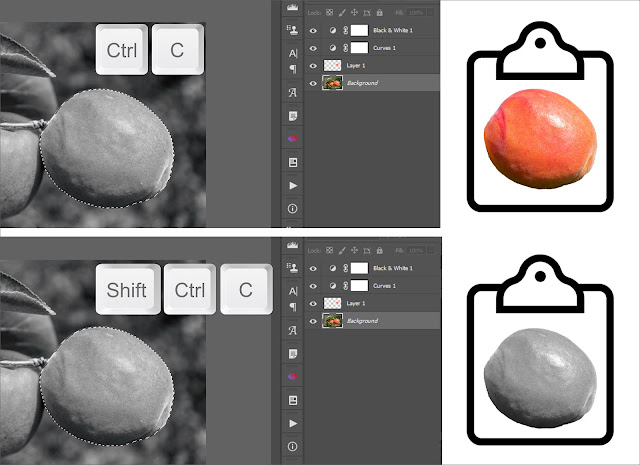 How To Copy Selected Content In Photoshop DezignEasy how-to-copy-selected-content-in-photoshop-dezigneasy